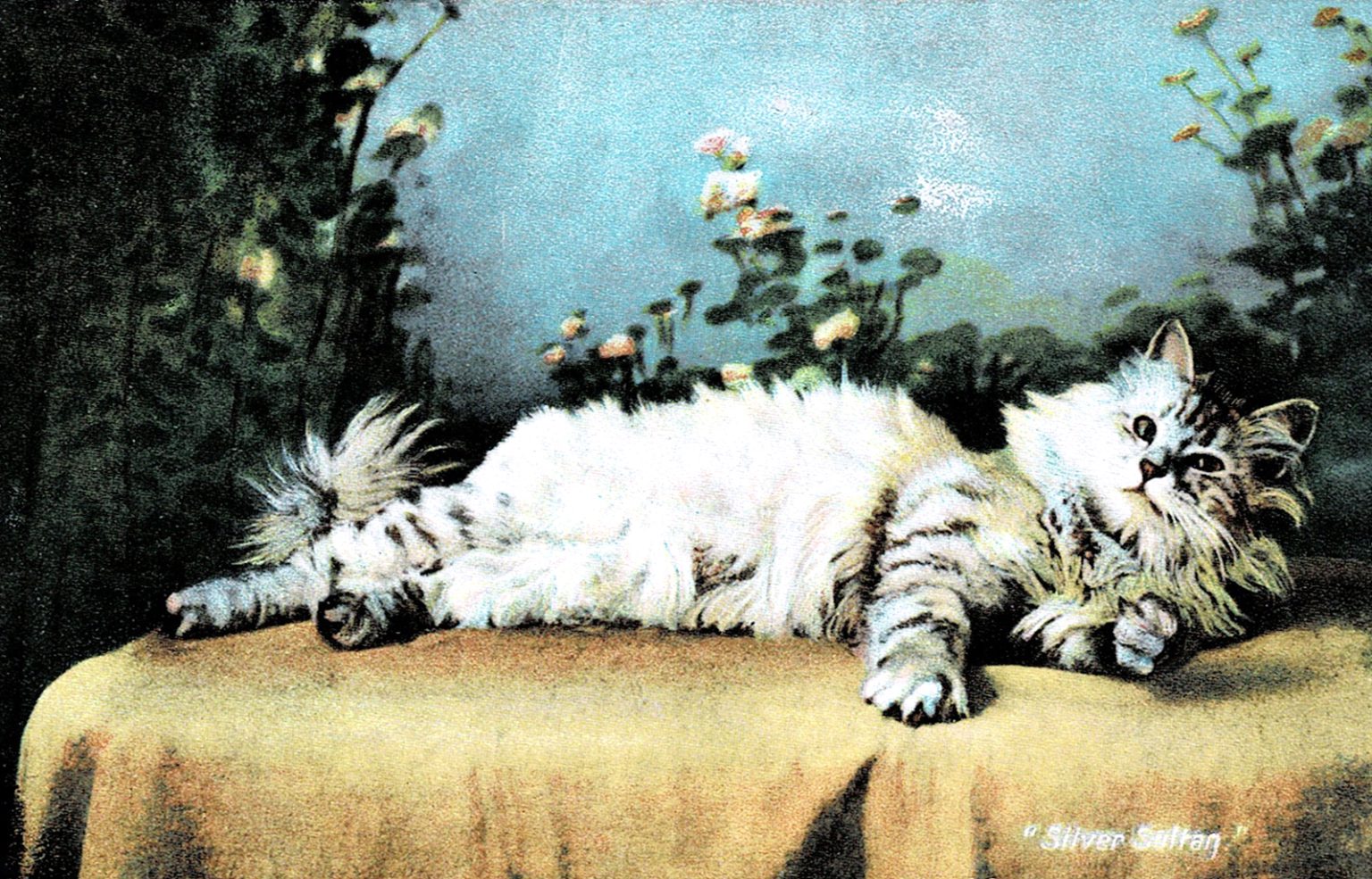 3 Early 1900s Cat Postcards