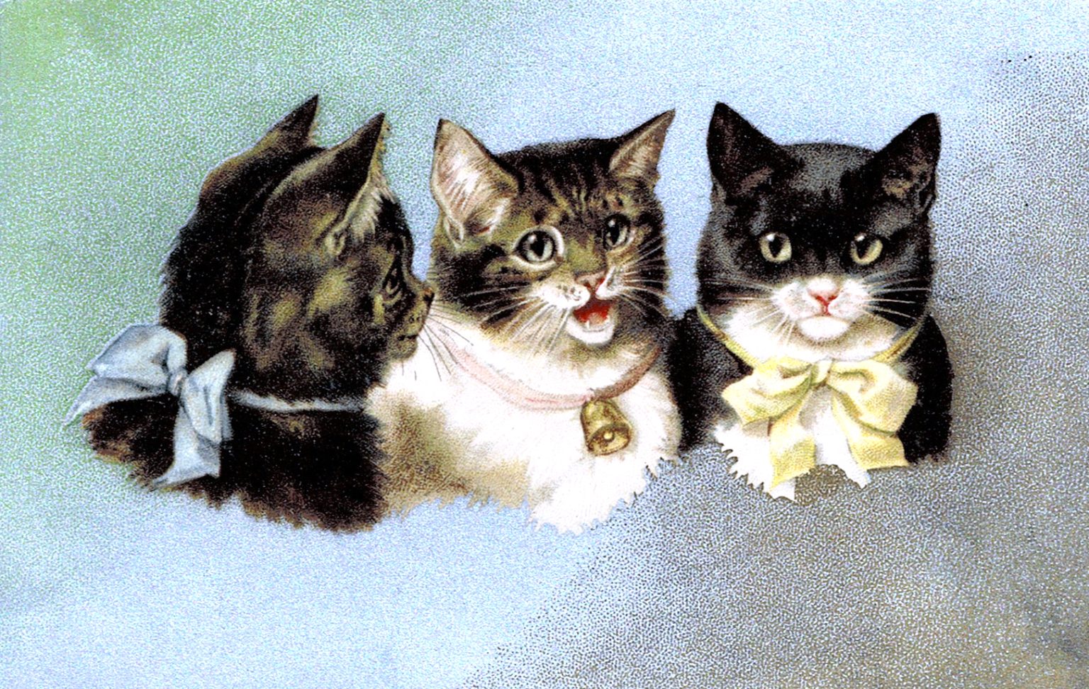 3 Early 1900s Cat Postcards
